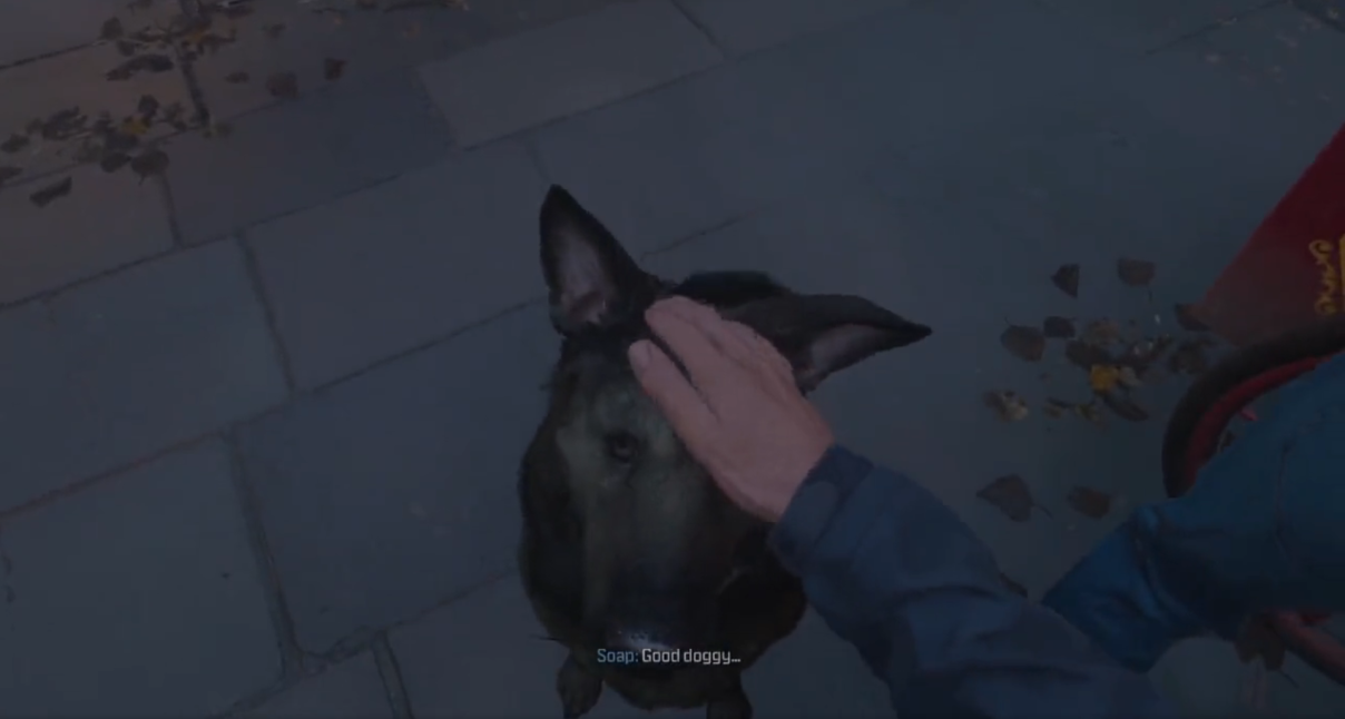 Can You Pet the Dog in CoD: MW3?