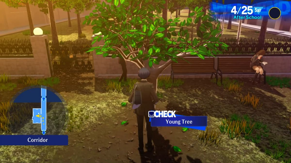 Where to Find the Persimmon Tree in Persona 3 Reload