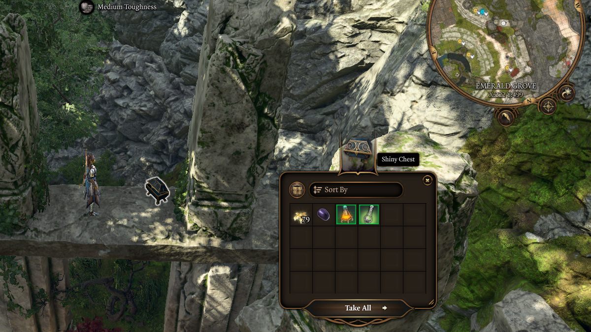 What Does the Bird's Nest Key/Shiny Key Unlock in BG3?