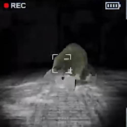 All Monsters In Content Warning & What They Do - The Escapist