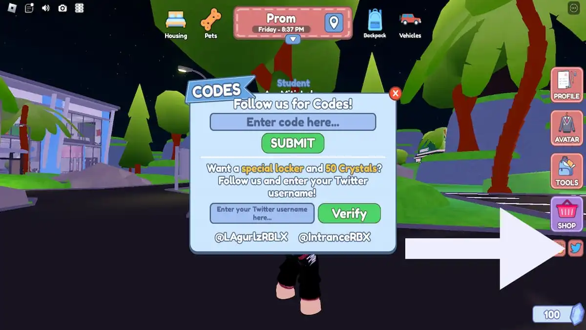 Bayside High School Codes (February 2025)—Are There Any? - The Escapist