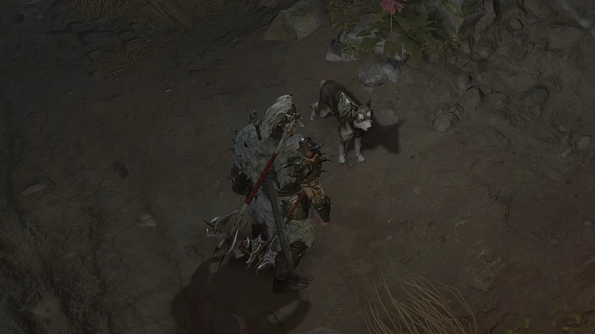 How to Use Pets in Diablo 4 - The Escapist