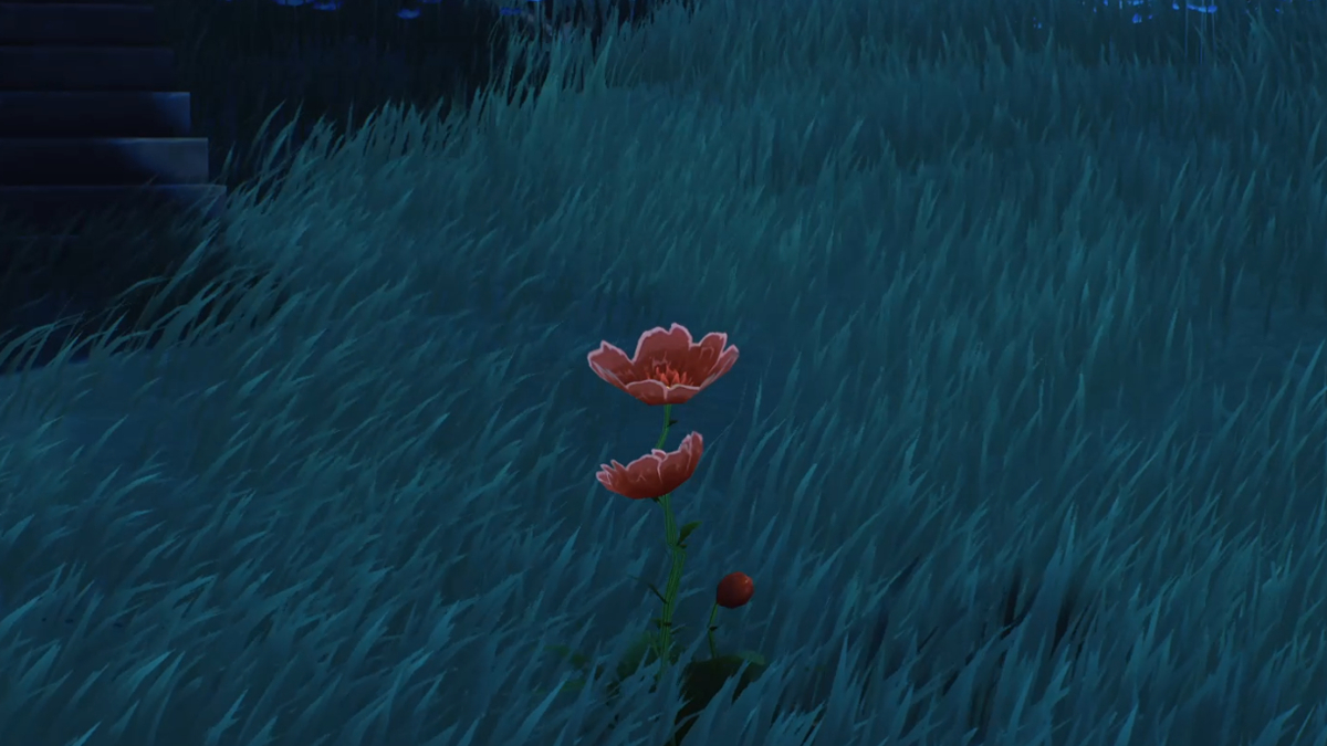 All Wuthering Waves Belle Poppy Locations & Best Farming Route