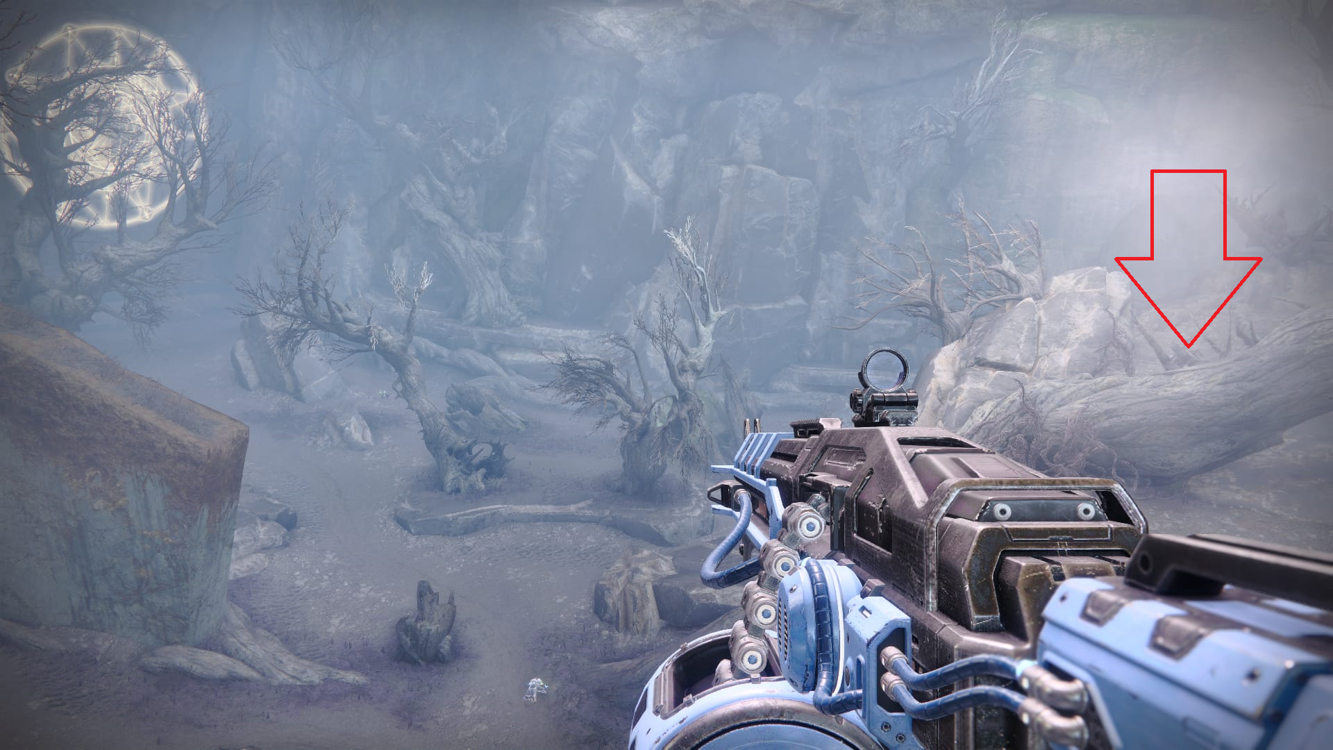 How to Find the Blooming Deep Lost Sector in Destiny 2