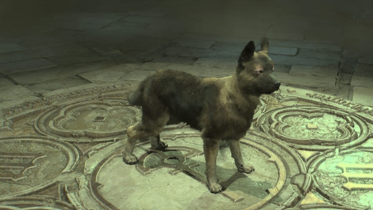 How to Claim Your Free Dog in Diablo 4 - The Escapist