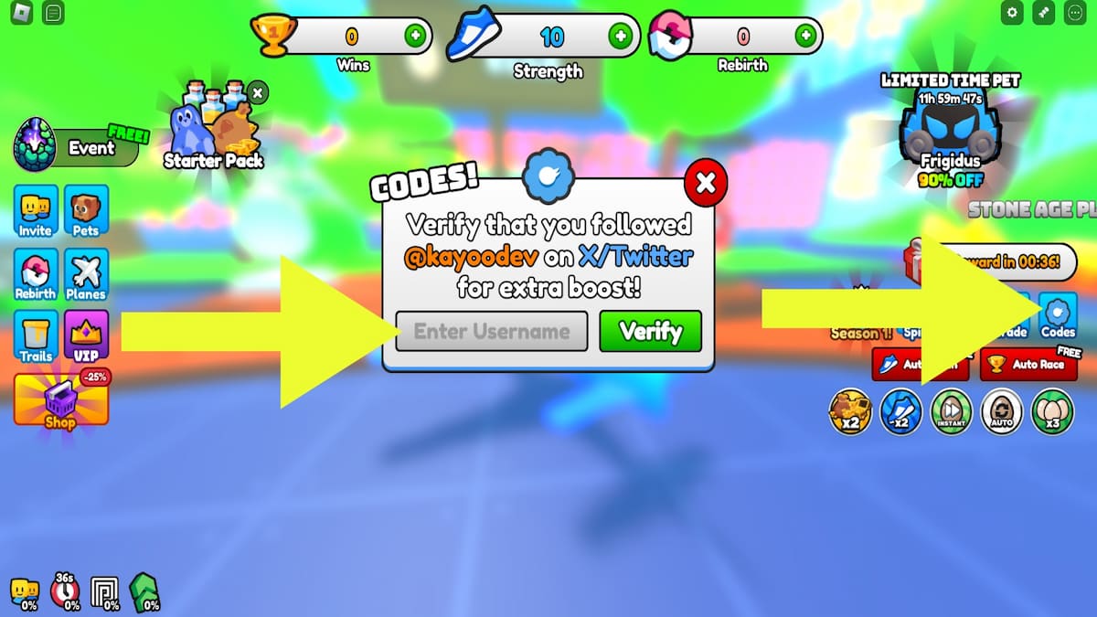 Plane Race Codes (January 2025) - The Escapist