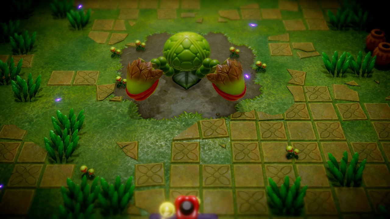 The Legend of Zelda: Echoes of Wisdom Faron Temple Walkthrough