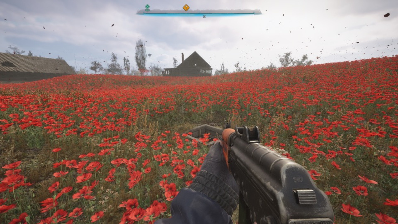 How To Complete Poppy Fields in Stalker 2