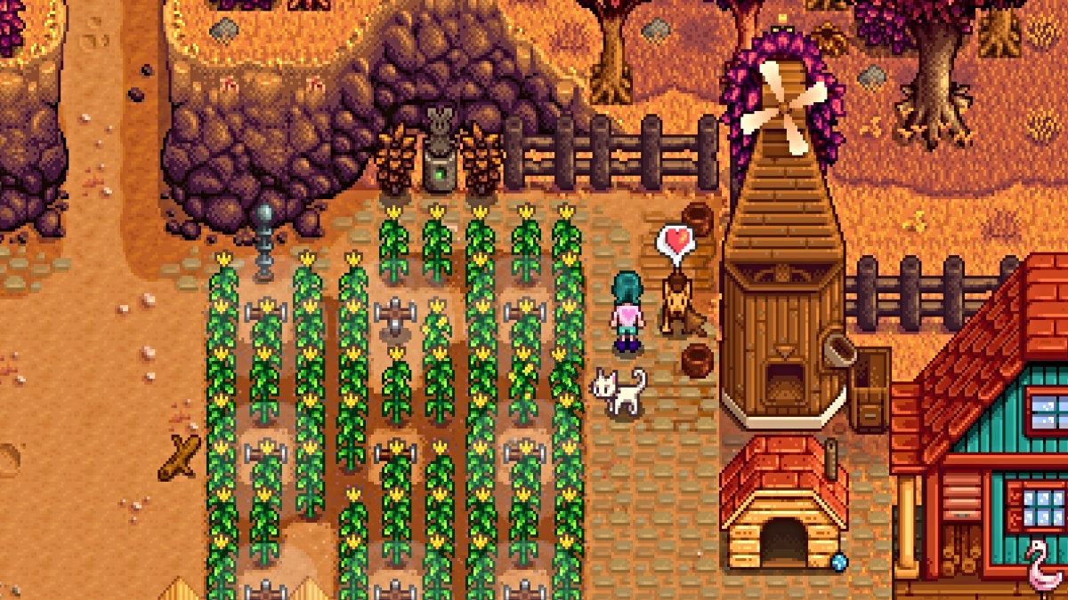 How To Get Multiple Pets in Stardew Valley