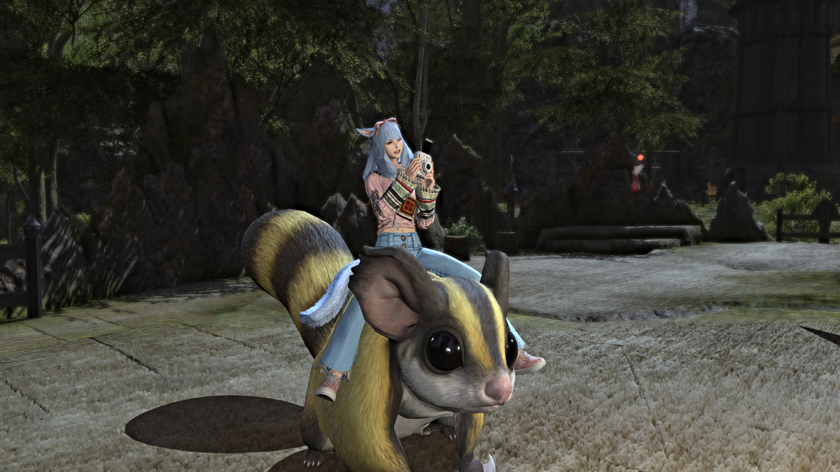 How To Get Photograph Emote (Patch 7.18) in Final Fantasy XIV