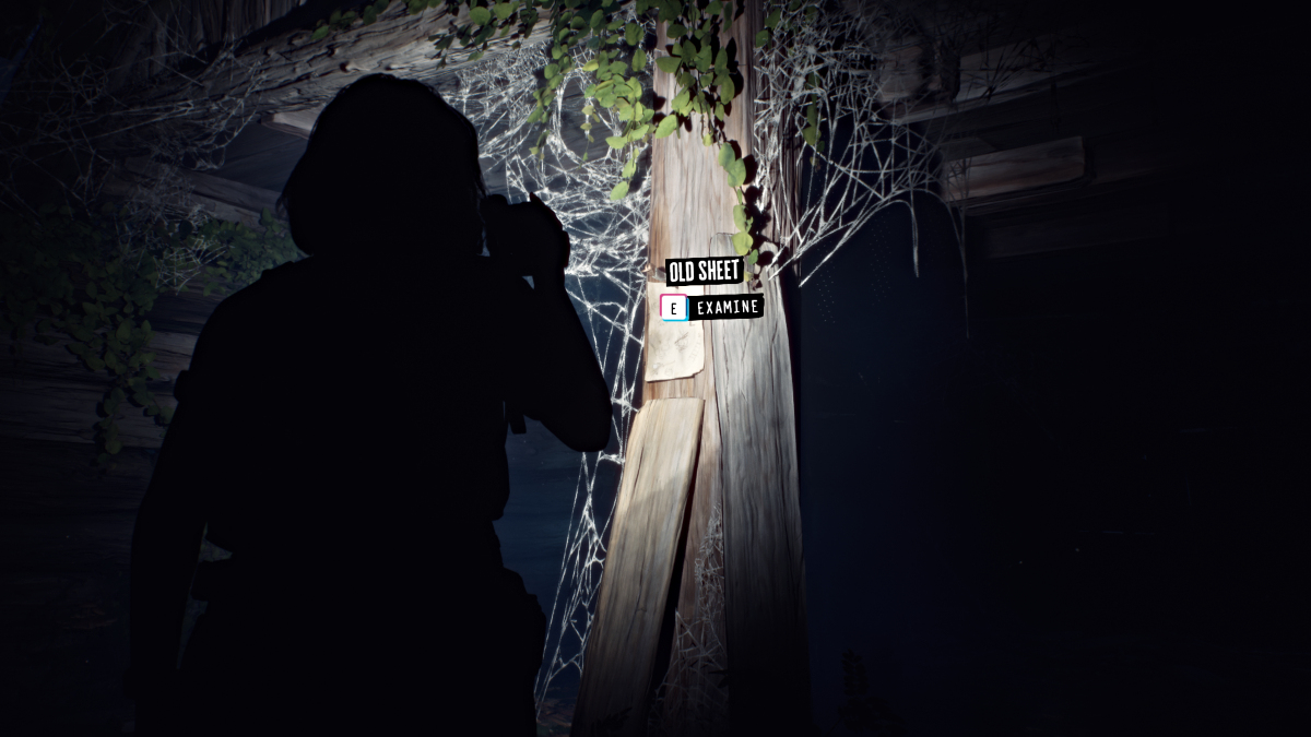 All Passwords and Padlock Combinations in Lost Records: Bloom and Rage