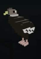 Complete All Birds in Roblox Beaks Bestiary - The Escapist