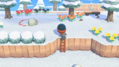 How to get a ladder in Animal Crossing: New Horizons and explore your ...